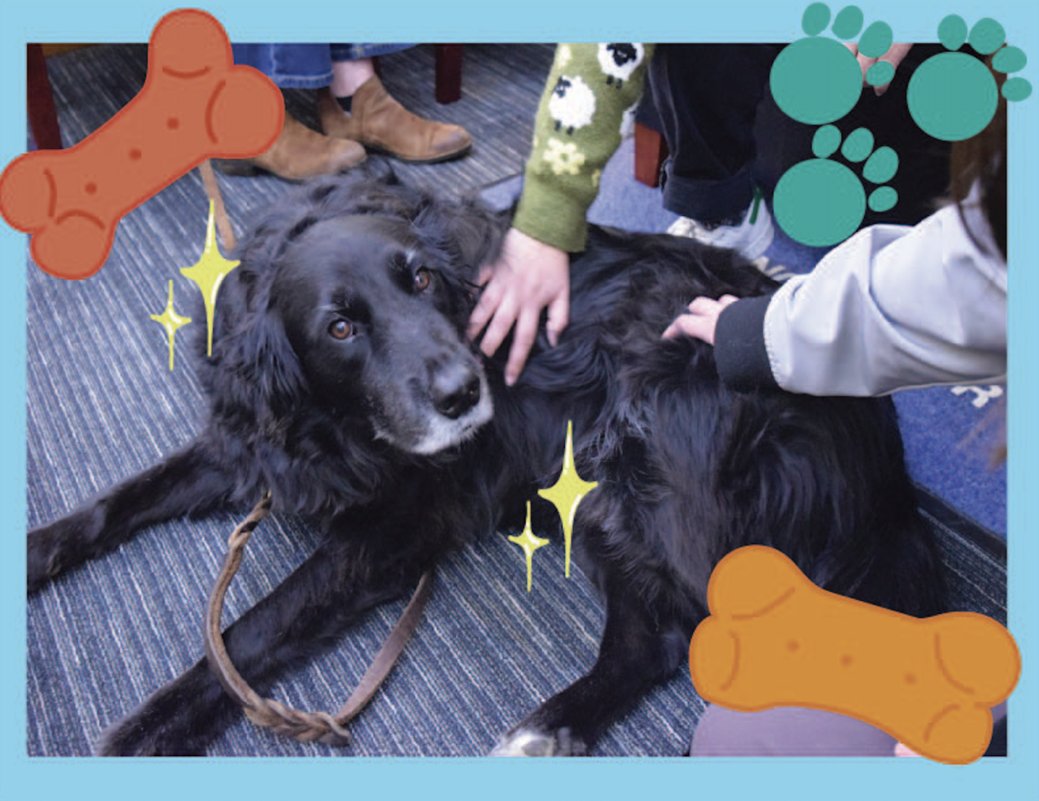Handsome Hudson’s helping paws – Best of SNO